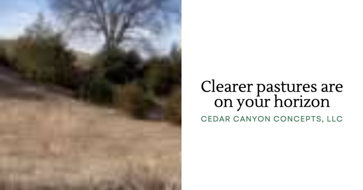 Pasture Clearing